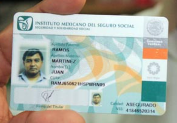 Carnet Imss ¿Cómo Se Saca, Cuándo Se Usa Y Para Qué Sirve? – GOKF